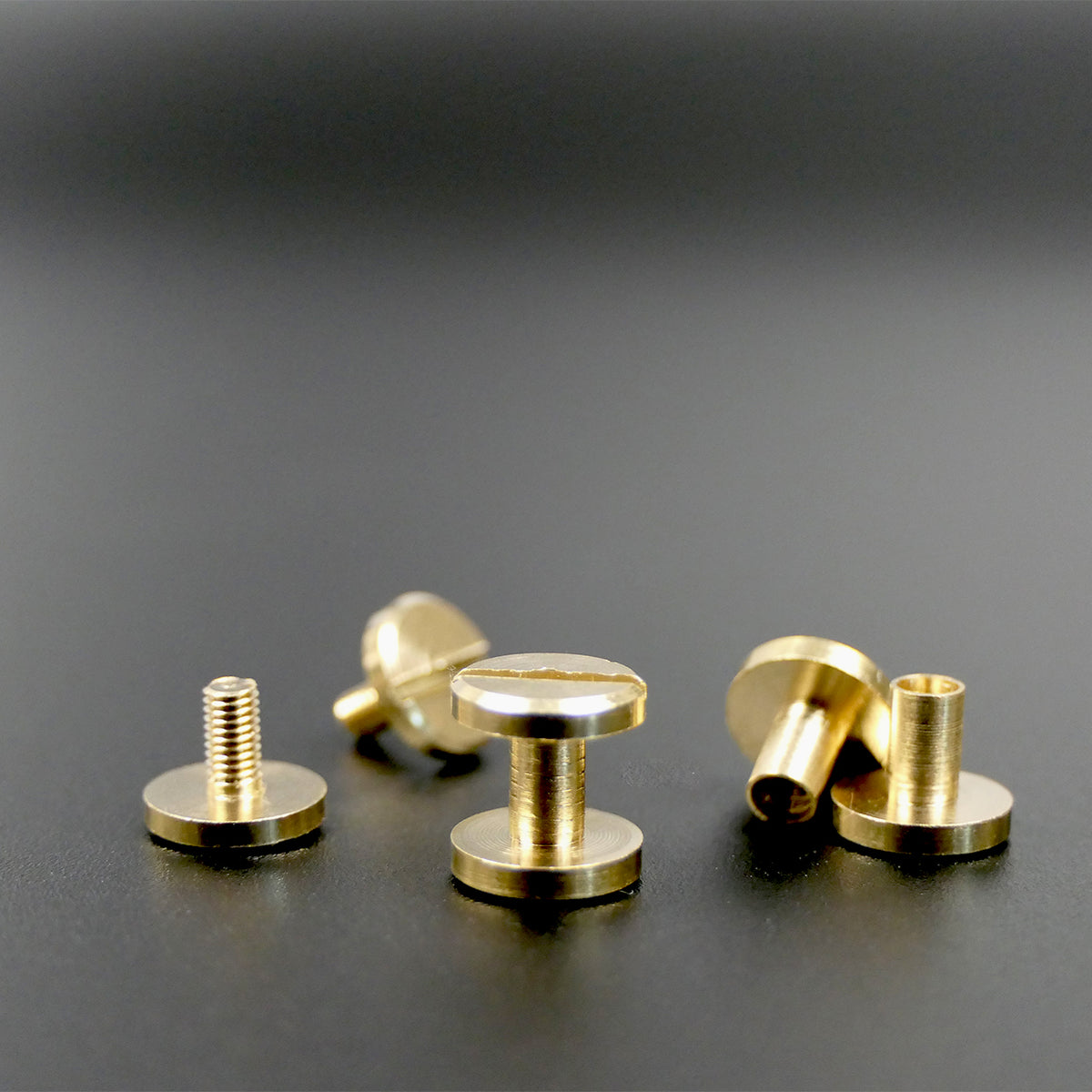 Solid Brass Chicago Screws – sfleather.co.uk